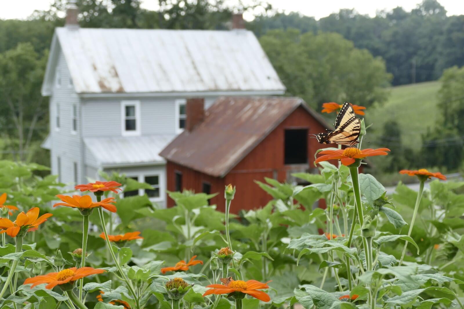 About Us/Integral Ecology | Oxbow Farm